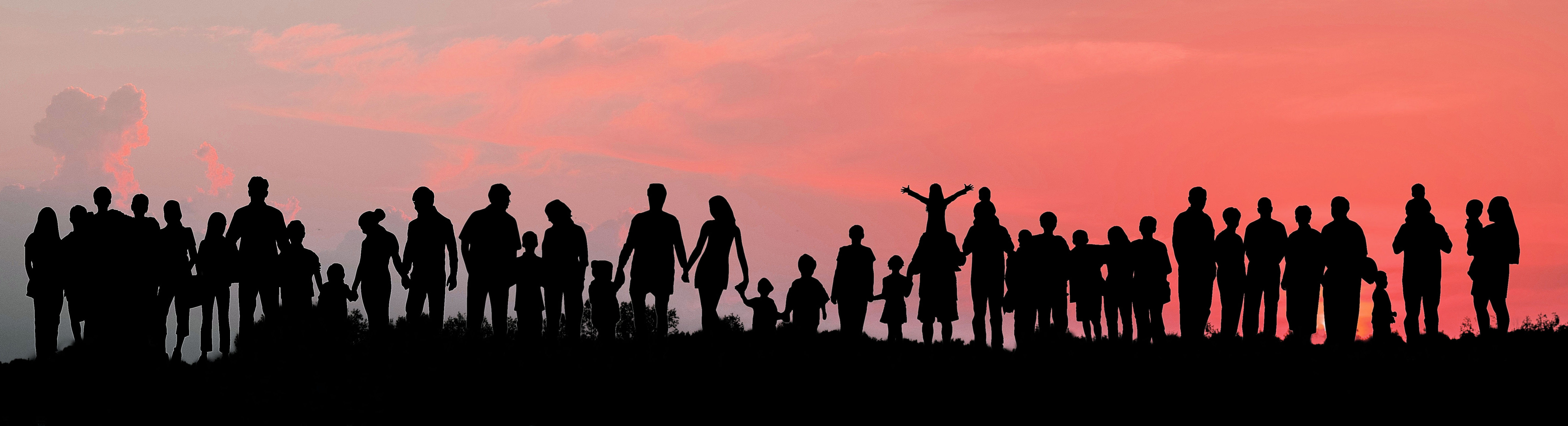 Reunited at the Rapture | OLIVE TREE ALLIANCE