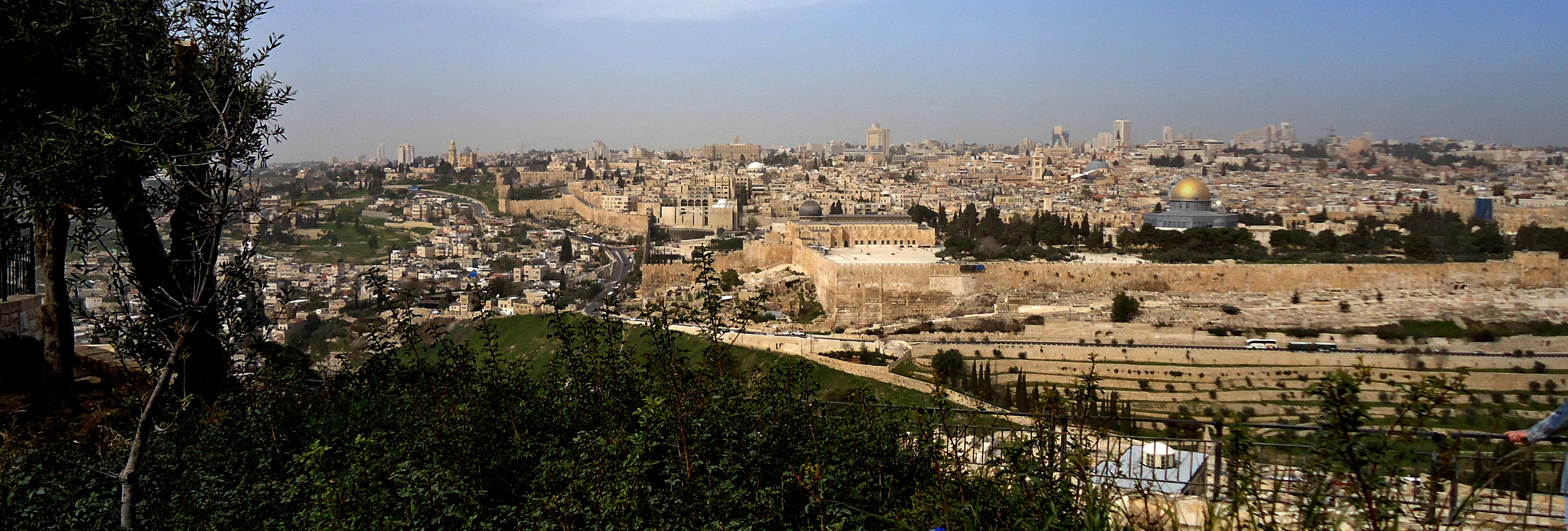 Immovable Faith (Psalm 125:1-5) | OLIVE TREE ALLIANCE